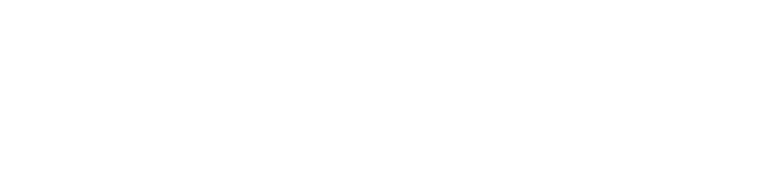 Argus - Brasilia Segurança S/A